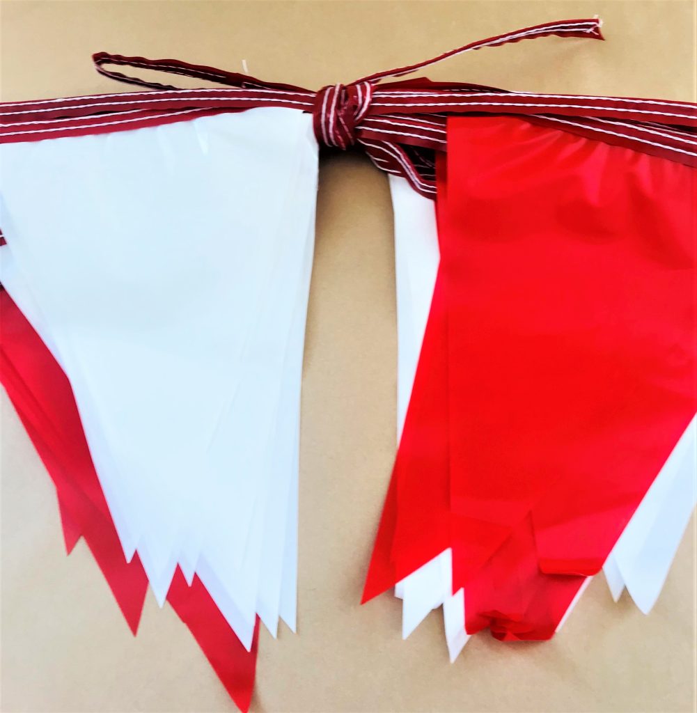 Pennants - Astro Parade Float Materials